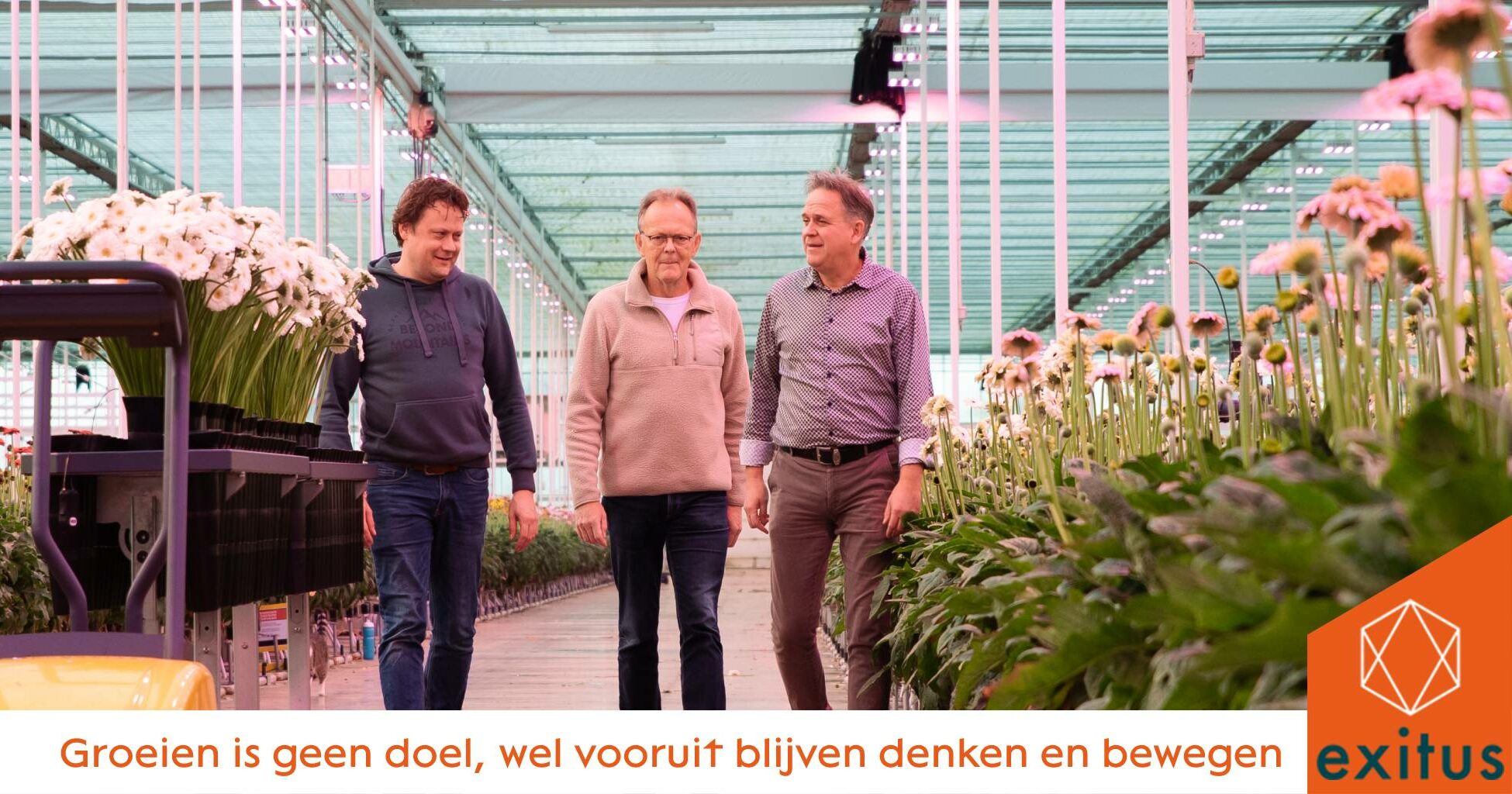 Stevige uitdaging voor een glastuinbouwbedrijf: hoe blijf je in ...