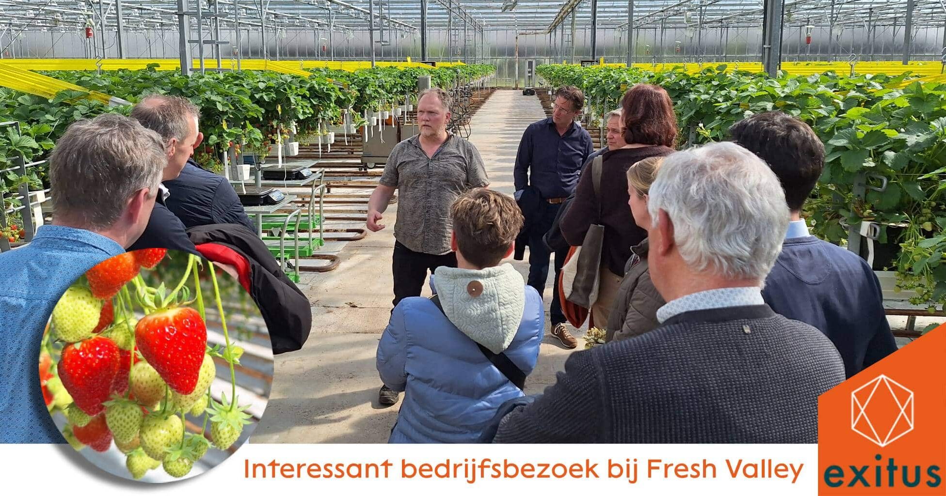 Interessant bedrijfsbezoek bij Fresh Valley | Exitus